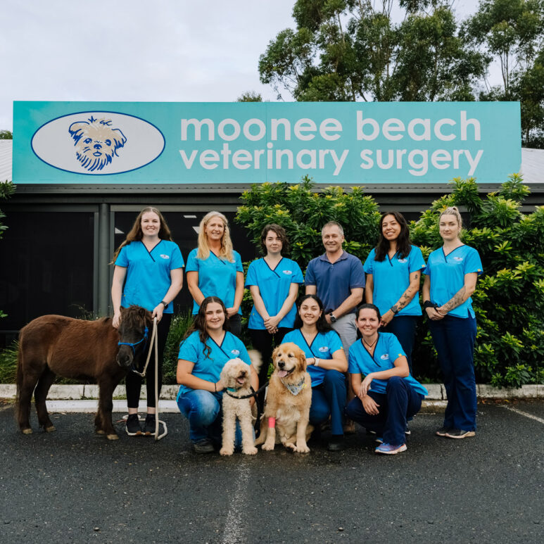 About Us - Moonee Vet